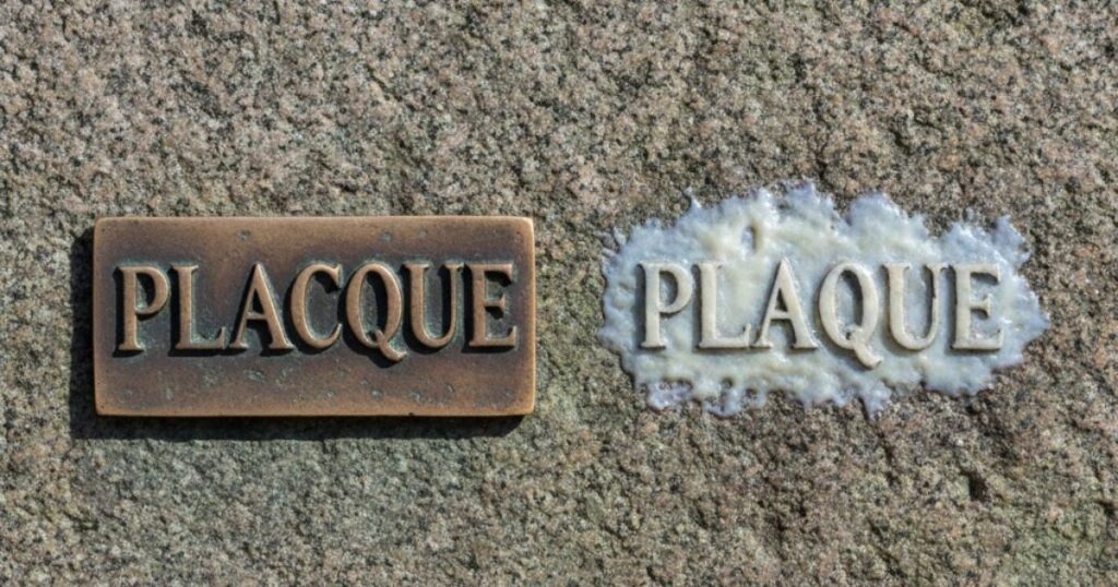 Placque Vs. Plaque: Meaning, And Correct Way To Use Each One